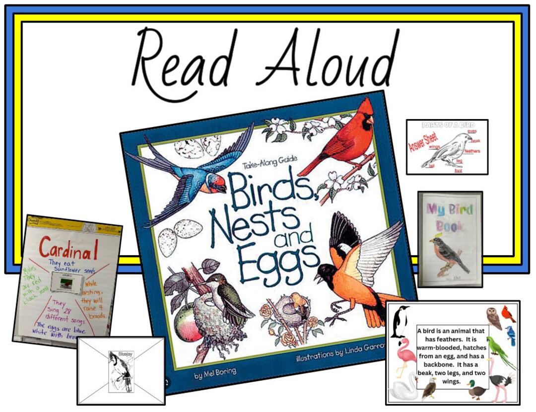 Birds, Nests, and Eggs Read Aloud - Etsy