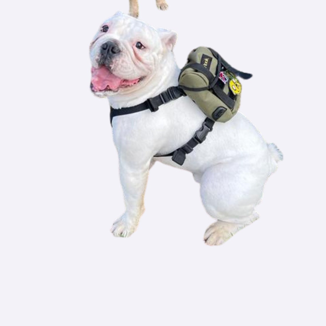 Dog Backpack Harness, Dog Harness, Custom Dog Harness By, Puppy Harness ...