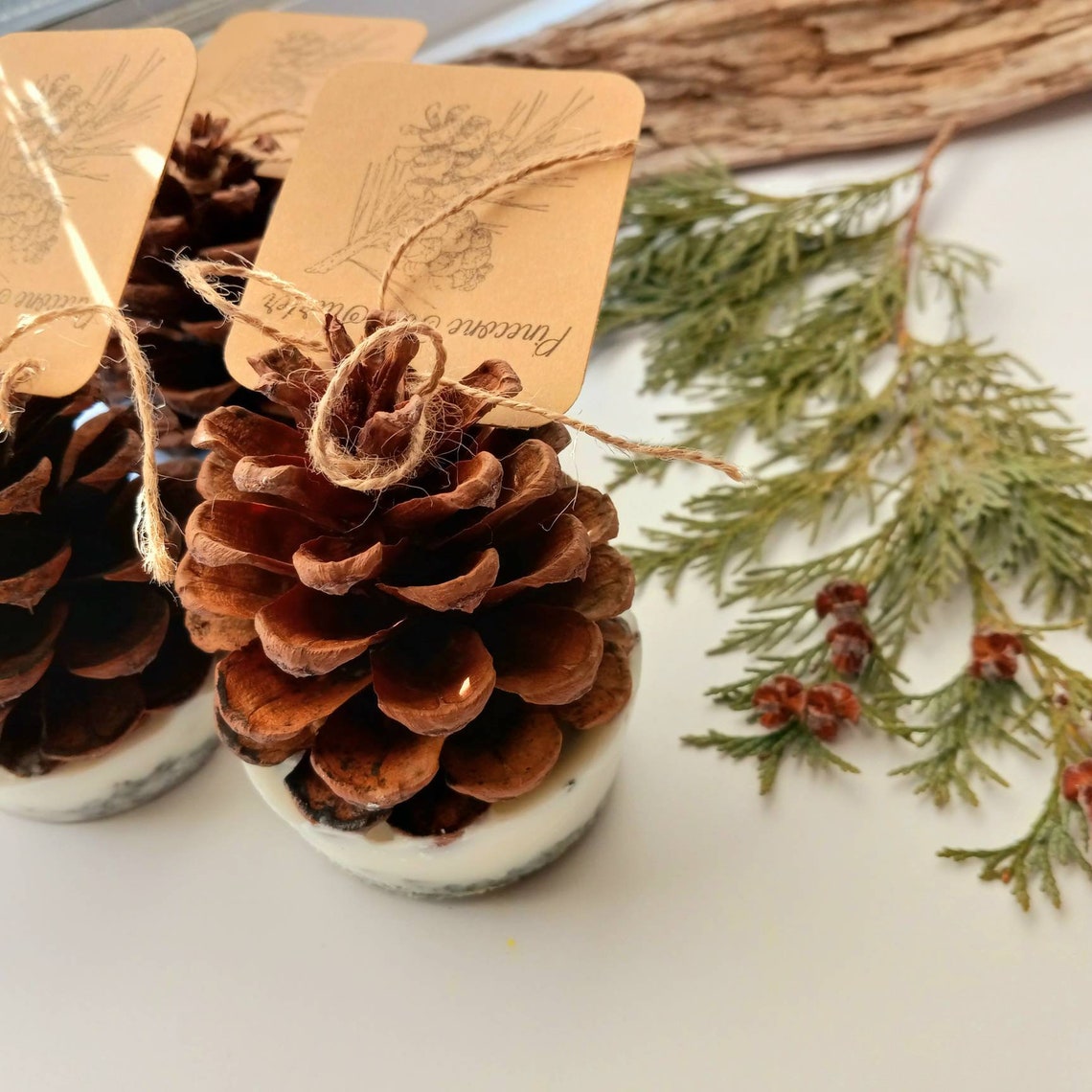 PRINTABLE pinecone Template 12 Per Gift Tags / Wrap Labels - Etsy Canada