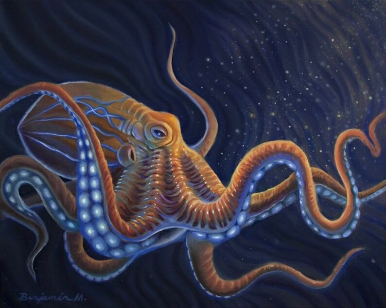 Deep Intellect Octopus Fine Art Print - Etsy