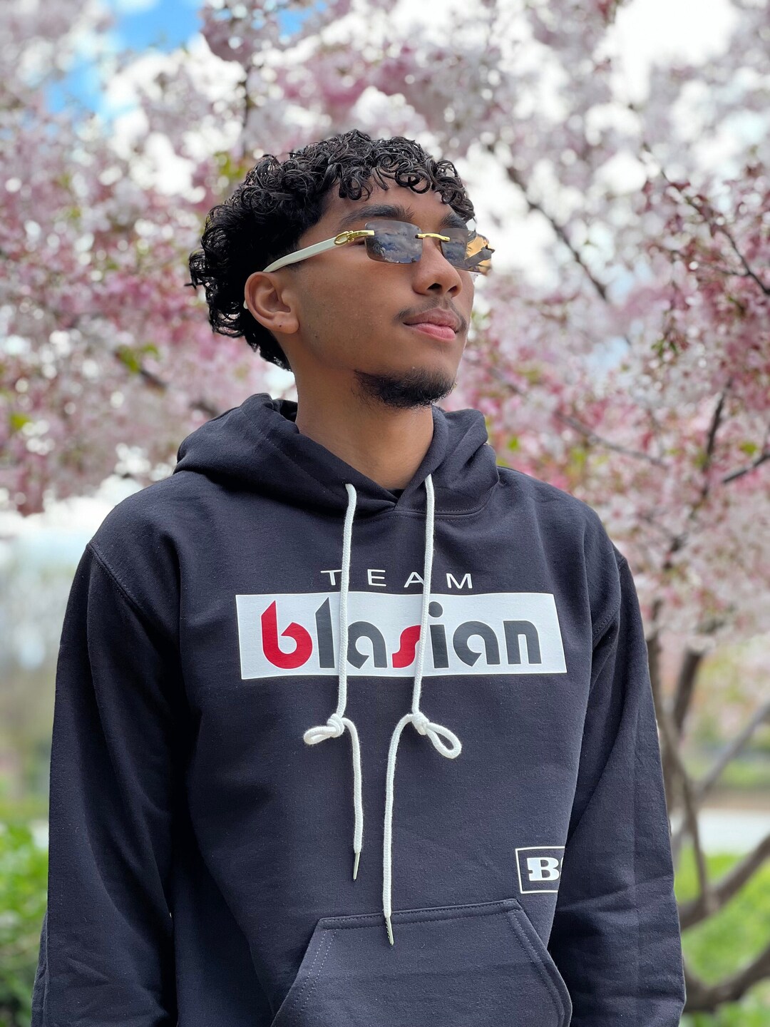 BLASIAN Team Blasian Hoodie - Etsy