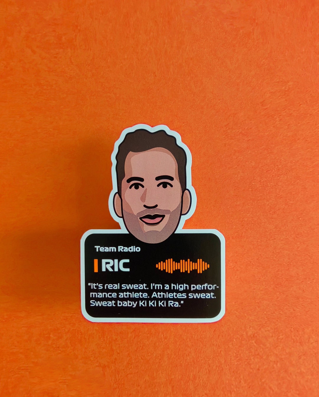 Formula 1 Stickers Pack Gift 3 Daniel Ricciardo Stickers - Etsy