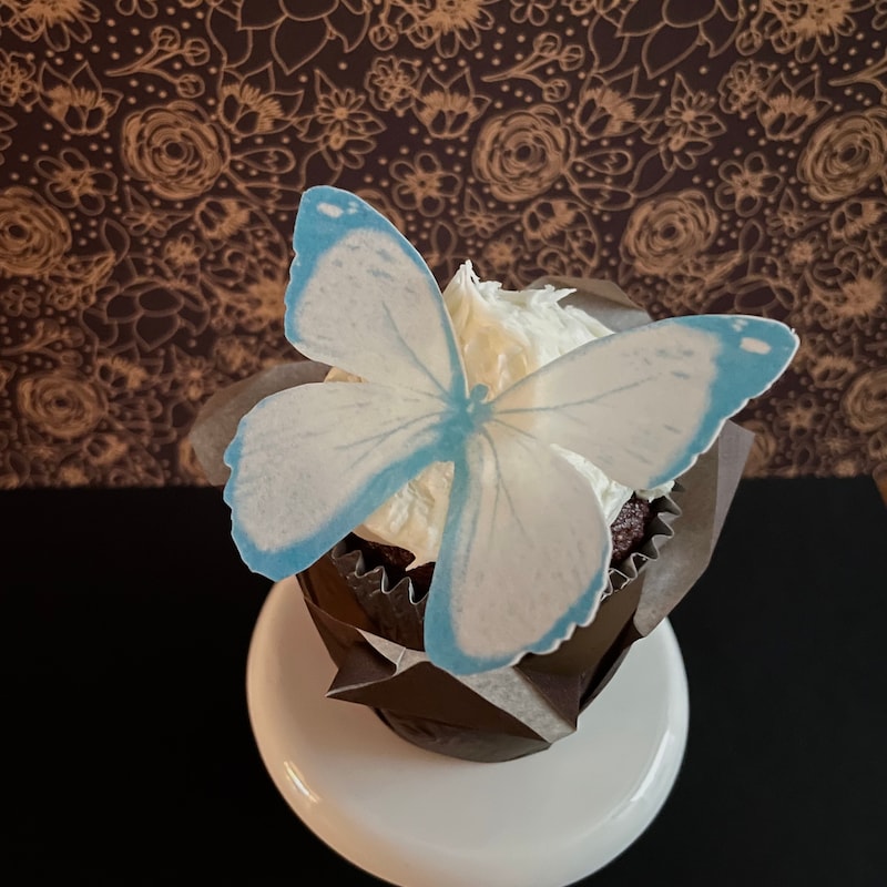 Wafer Paper Butterflies - Etsy