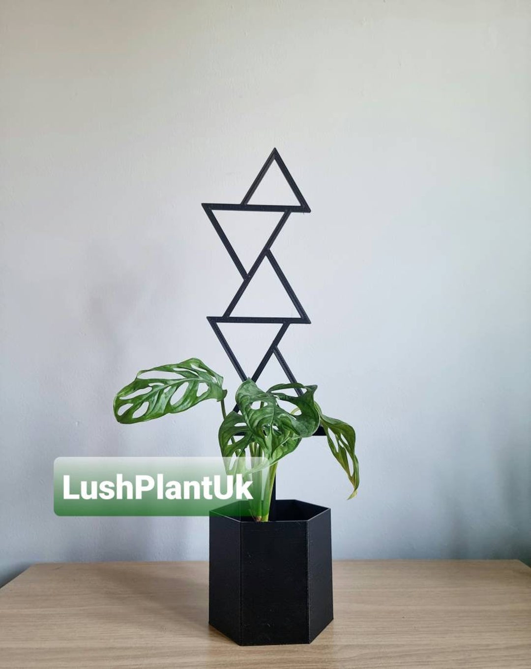 Plant Trellis | Triangle | Plant Support | 3d Print | Eco-friendly ...
