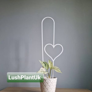 Plant Trellis | Plant Support | Heart | 3d Print | Eco-friendly | Plant ...