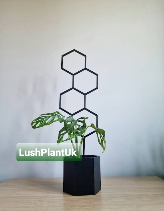Plant Trellis Plant Support Hexagon 3D Print | Etsy