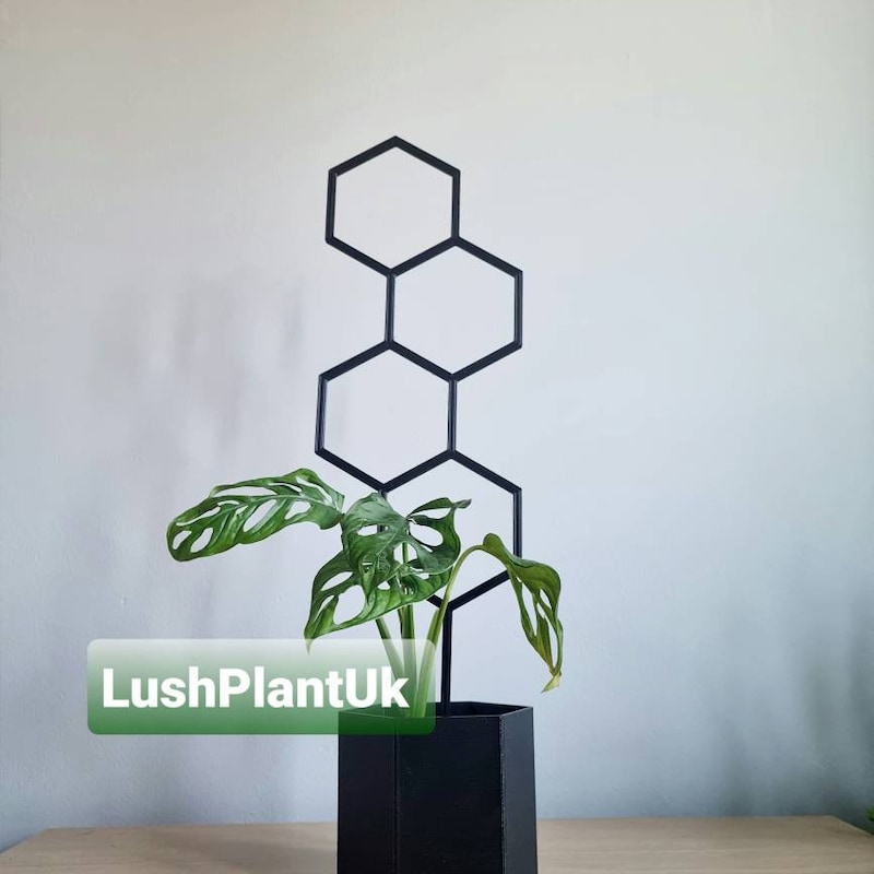 Hexagon Trellis - Etsy