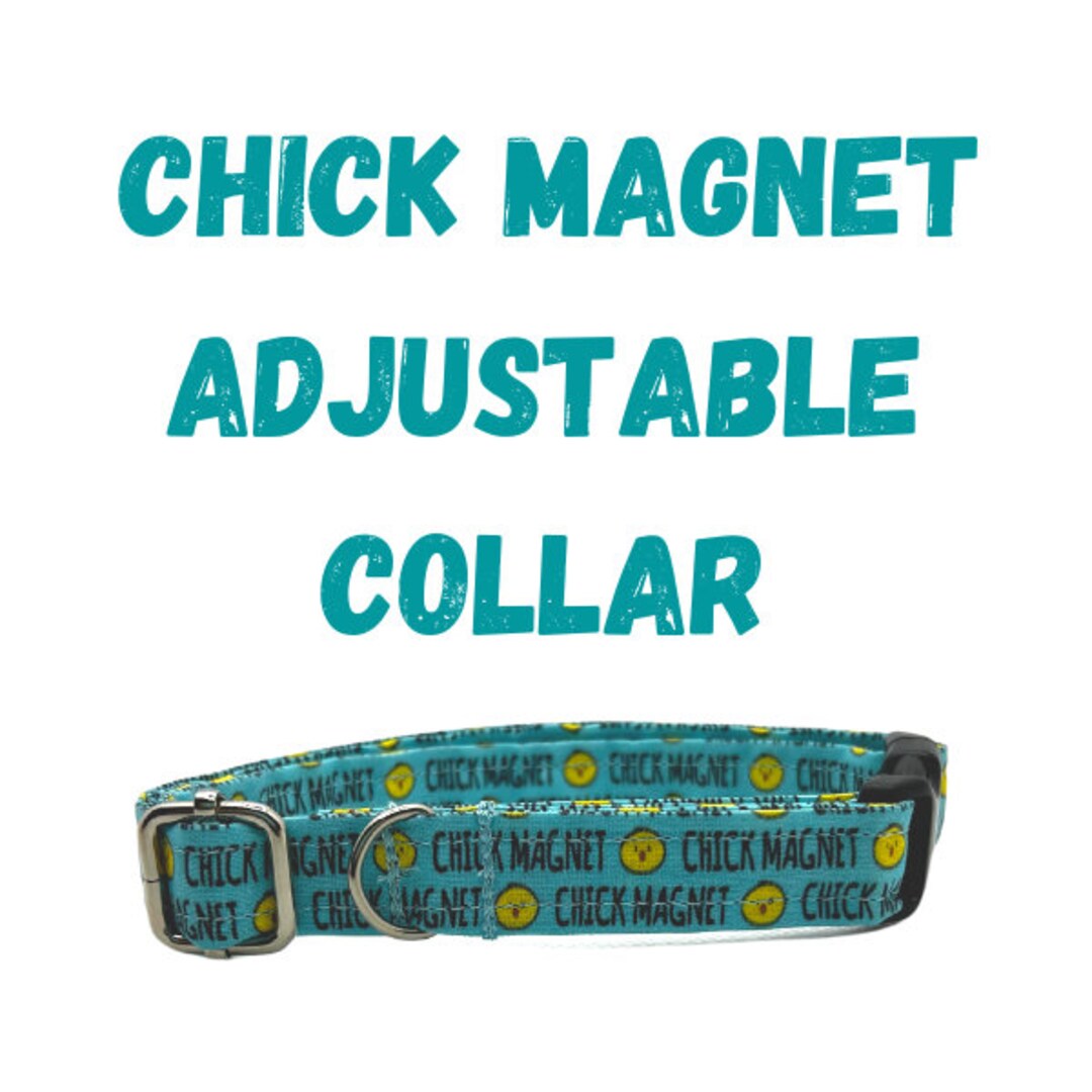 Chick Magnet Adjustable Collar, Cute Collar, Puppy Collar, Pet Collar ...