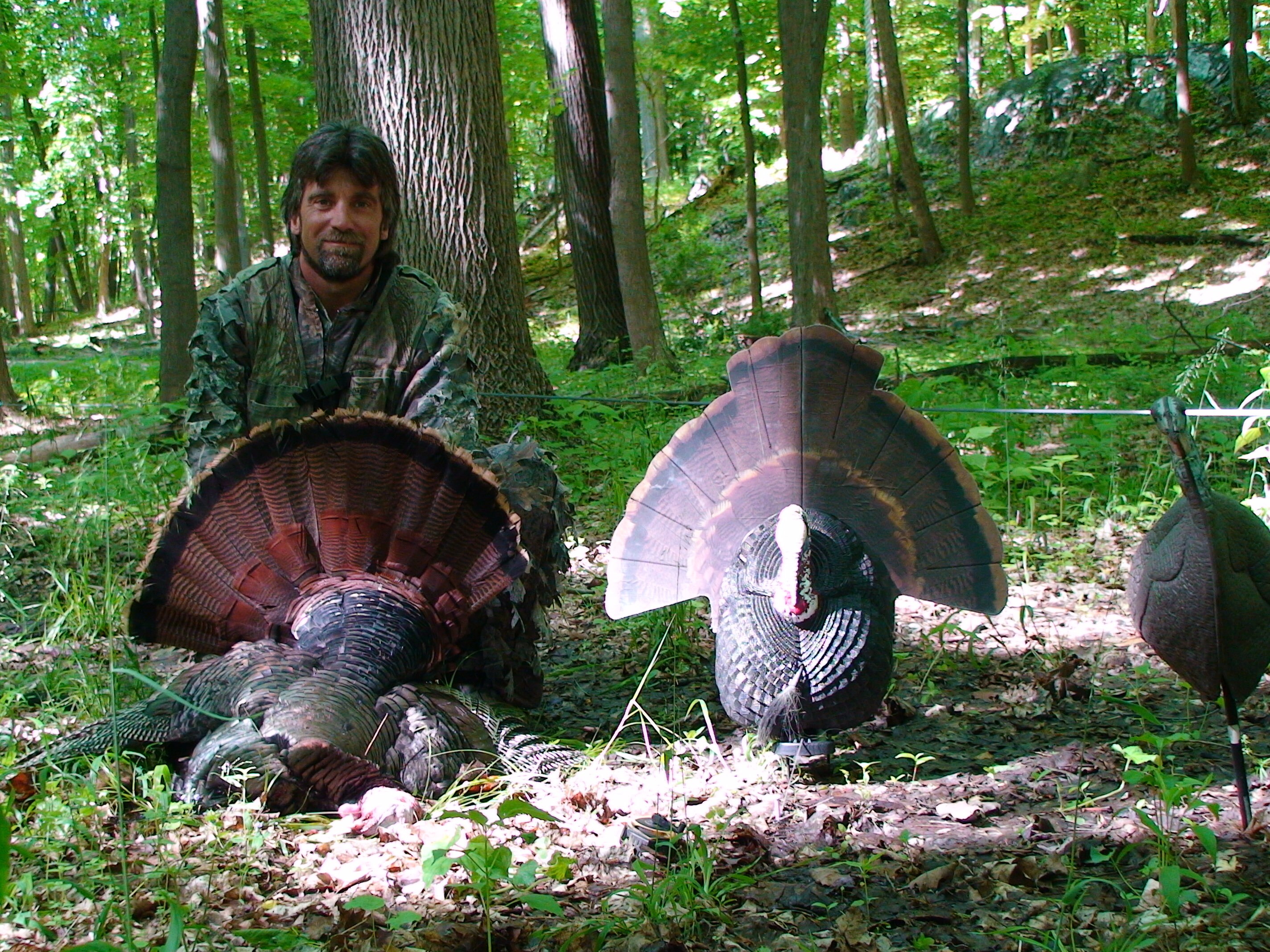 Turkey Decoy Got Motion / II Timer Box Call - Etsy