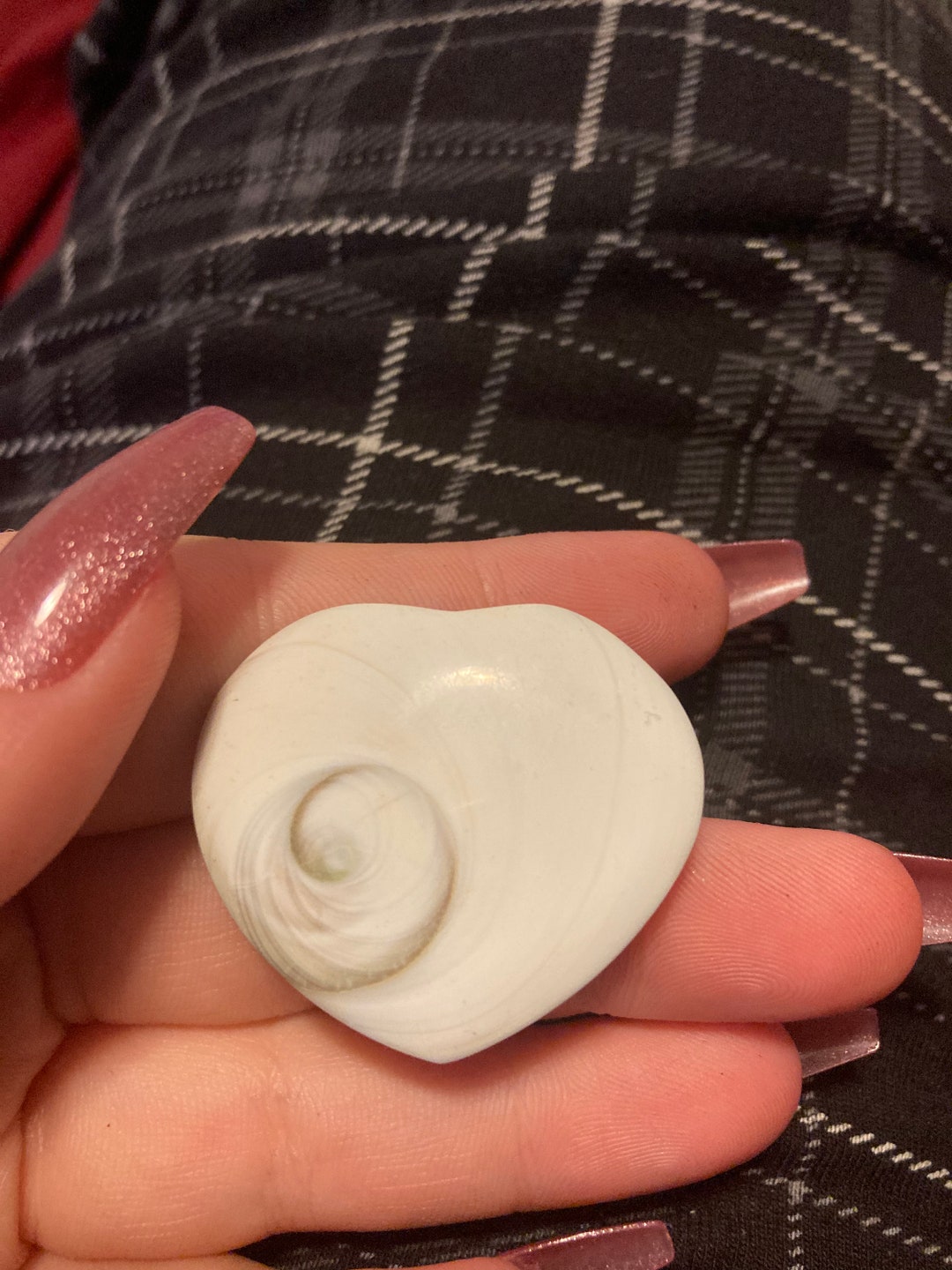 Shiva Heart Shell - Etsy