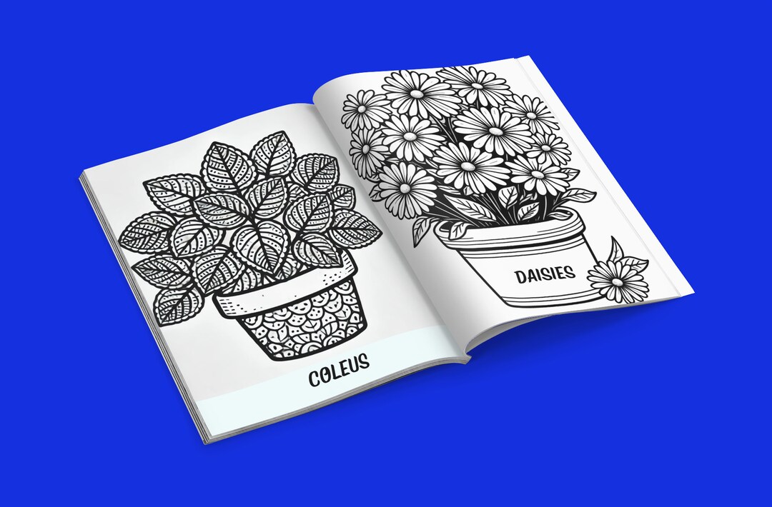 Potted Plants & Flowering Plants: Coloring and Learning Book for ...