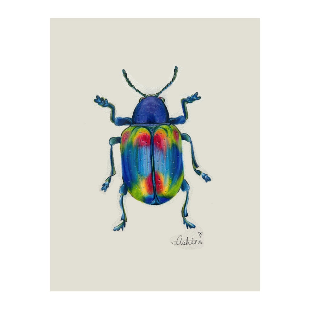 5x7 Leaf Beetle Colored Pencil Drawing Art Giclee Print - Etsy