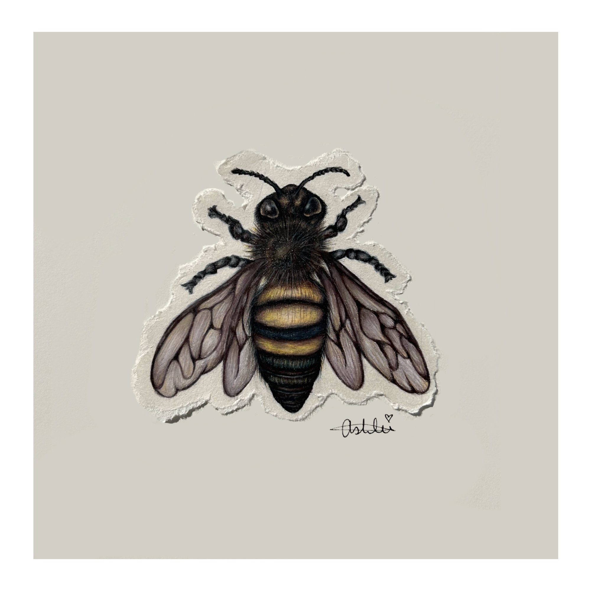 8x8 Bumble Bee Colored Pencil Drawing Art Giclee Print - Etsy