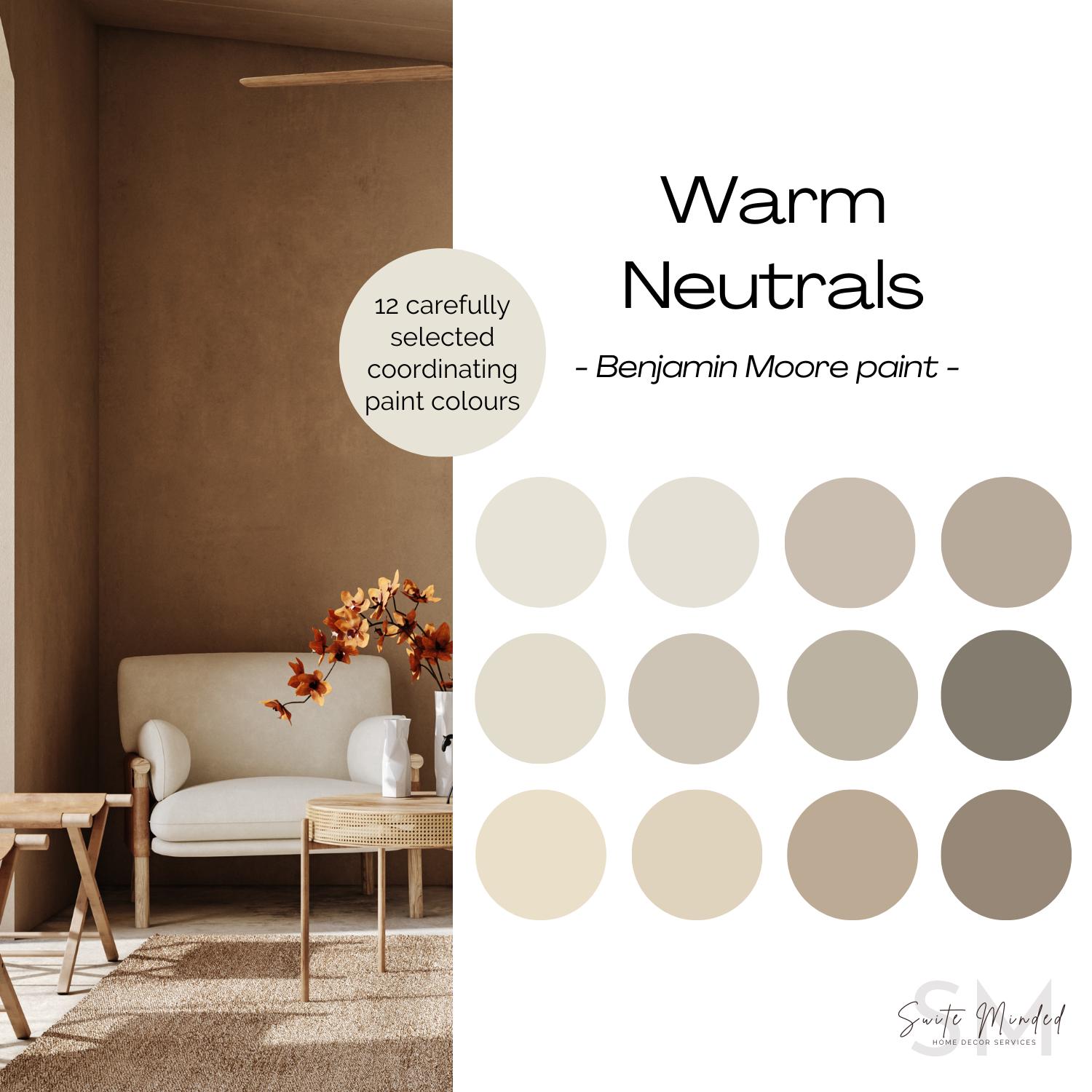 Taupr Living Room Benjamin Moore Colors 50 Living Room Paint Colors