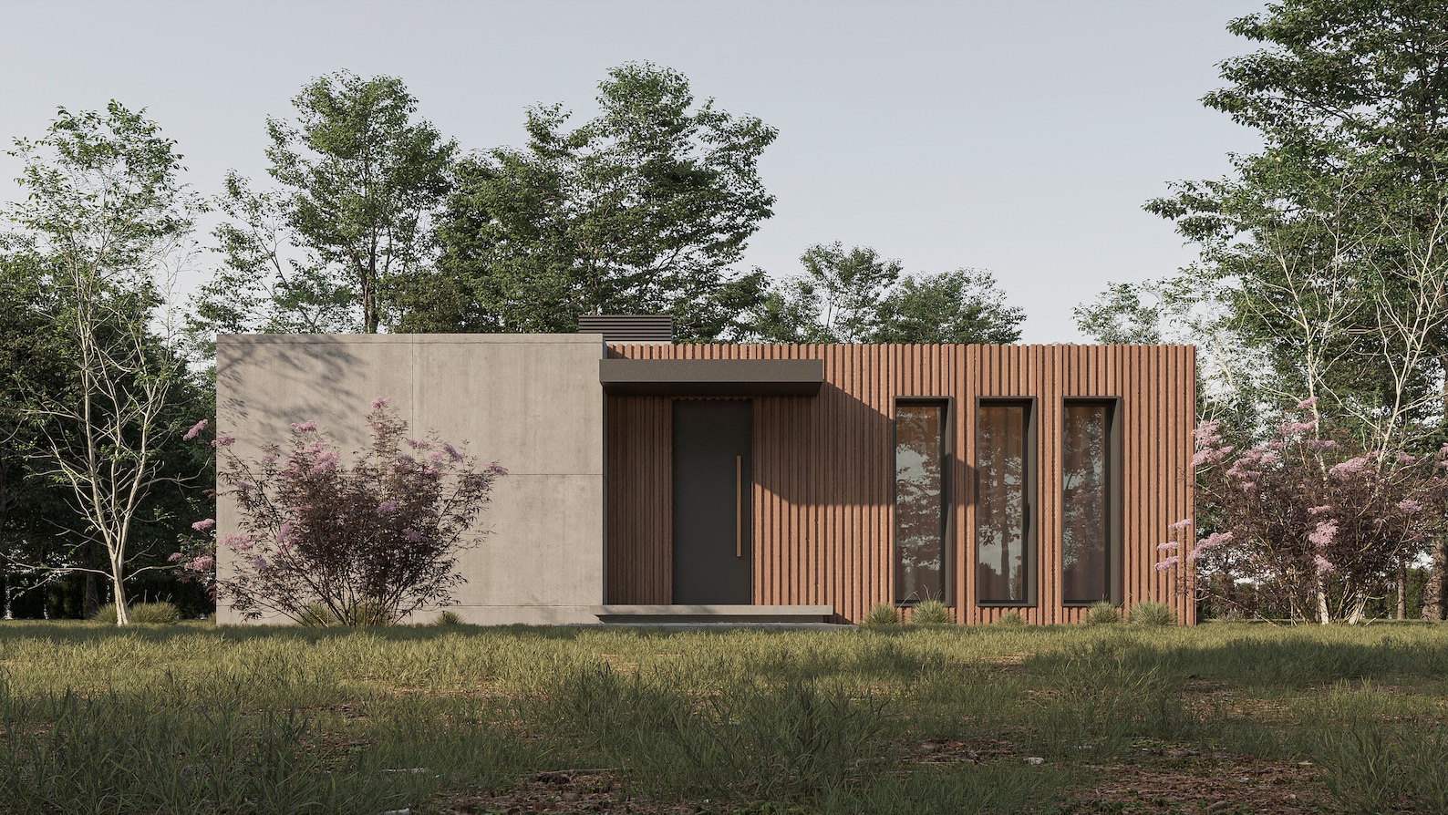 Modern Minimal Tiny House, Wood Concrete Facade Home, 1 Bedroom, 1 ...