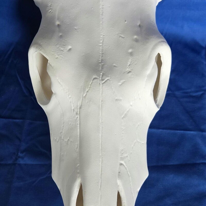Ready to Paint Plaster - Etsy