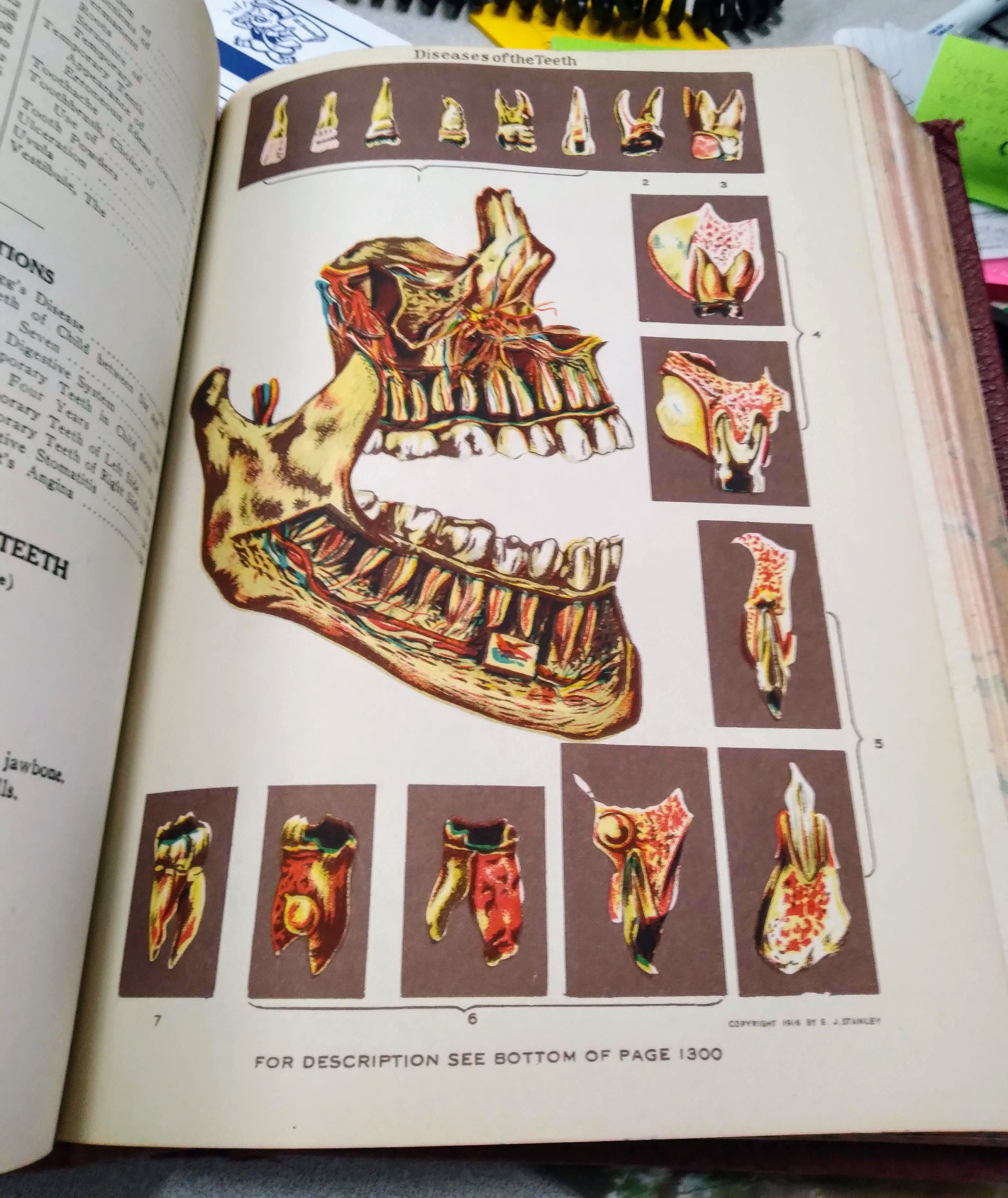 Vintage 1948 Library of Health Book - Revised Edition - Original ...