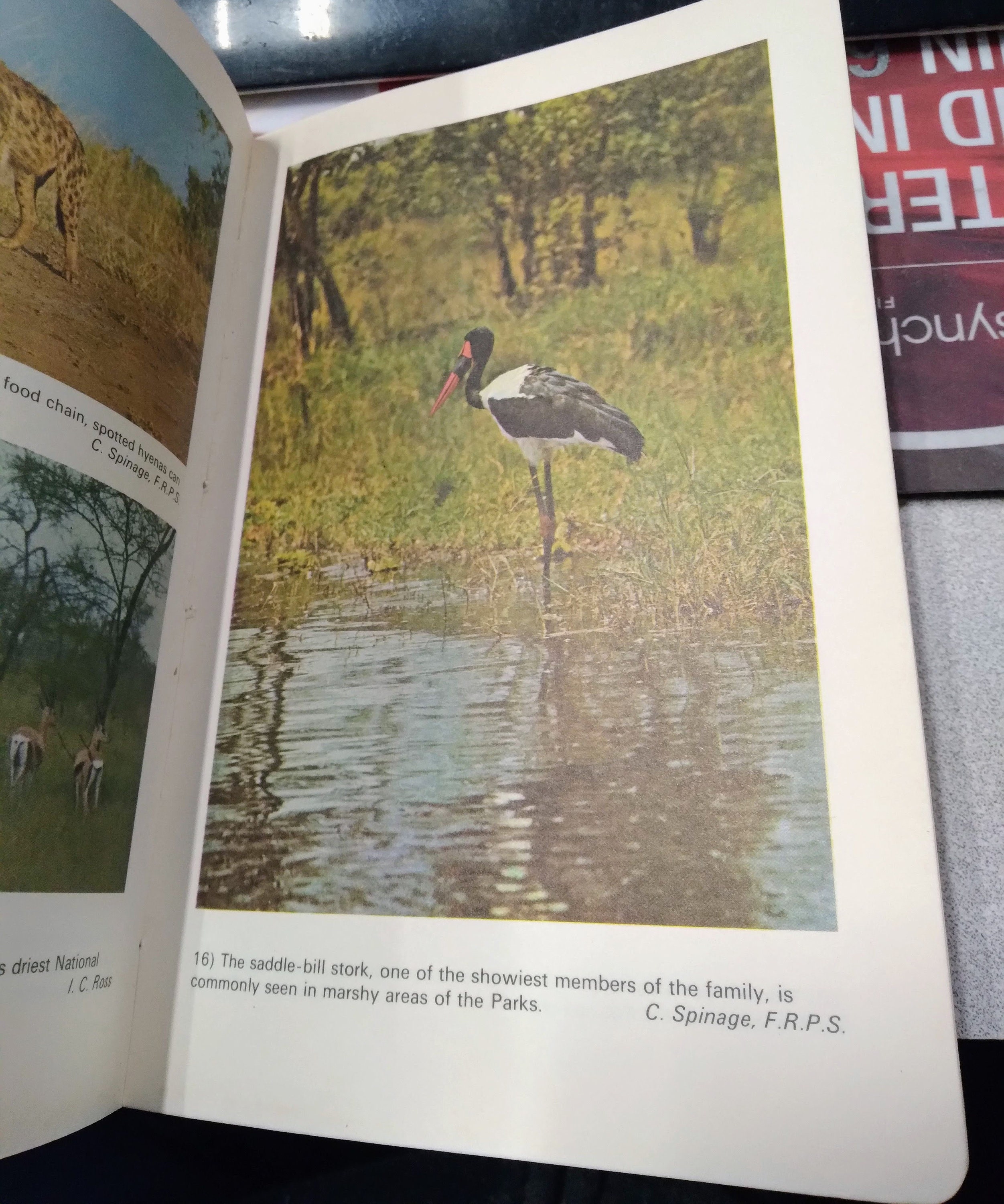 1971 Uganda National Parks Handbook - Etsy