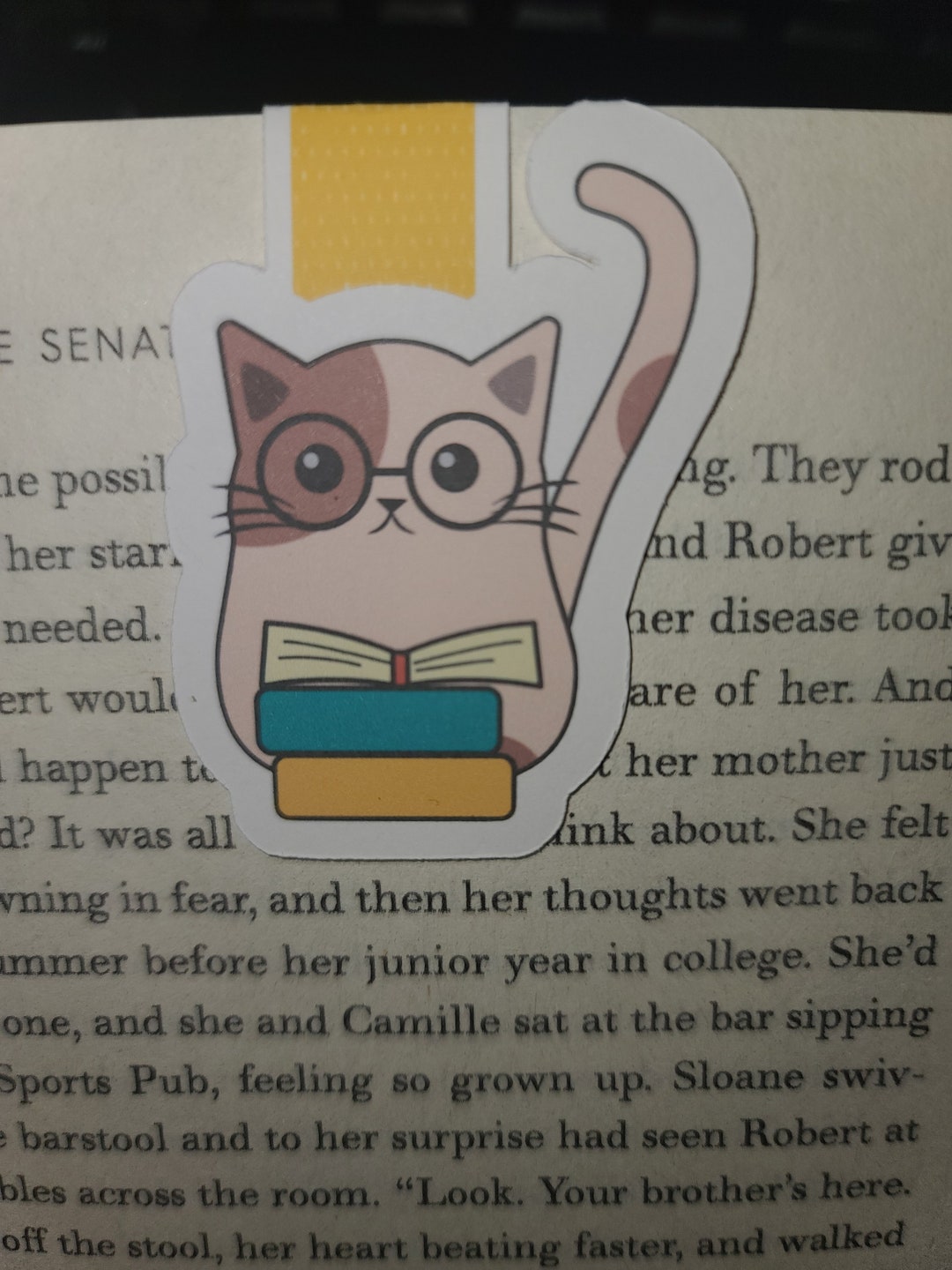 Cat Bookmarks | Magnetic Bookmarks | Kitty Bookmarks | Cat Cute ...