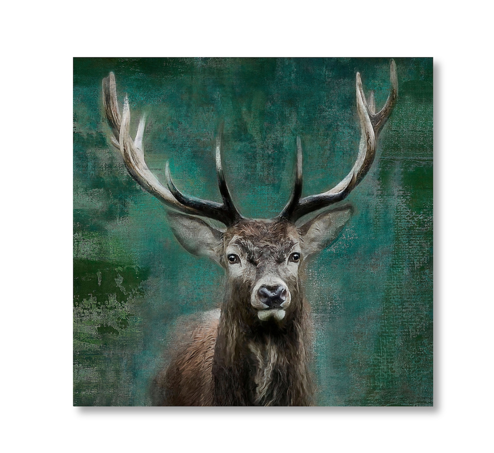 Hirsch Bild Hochformat Leinwand Hirsch modern Wandbild grün abstrakt ...