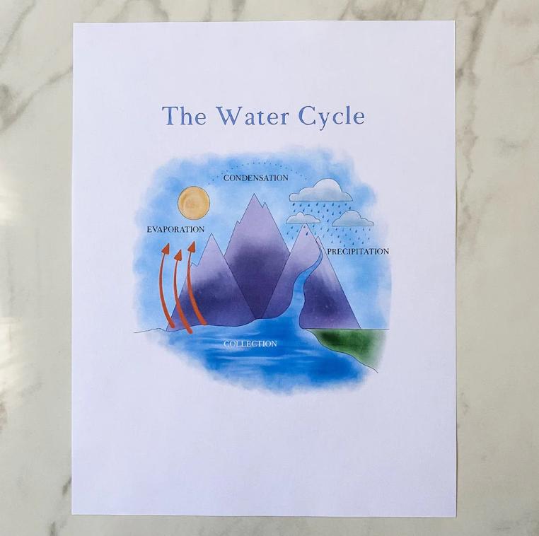 Water Cycle Nature Study Printable - Nature Study - Charlotte Mason ...