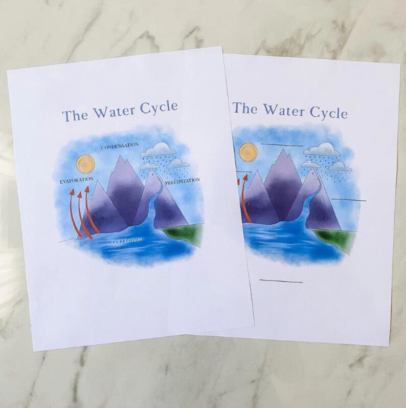 Water Cycle Nature Study Printable - Nature Study - Charlotte Mason ...