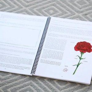 The Beatitudes Unit Study - Beatitudes Study - Beatitudes for Kids ...