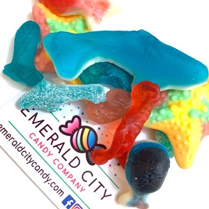 Large UNDER the SEA Mix: 16oz. Gummy Mix With Ocean Creatures and ...