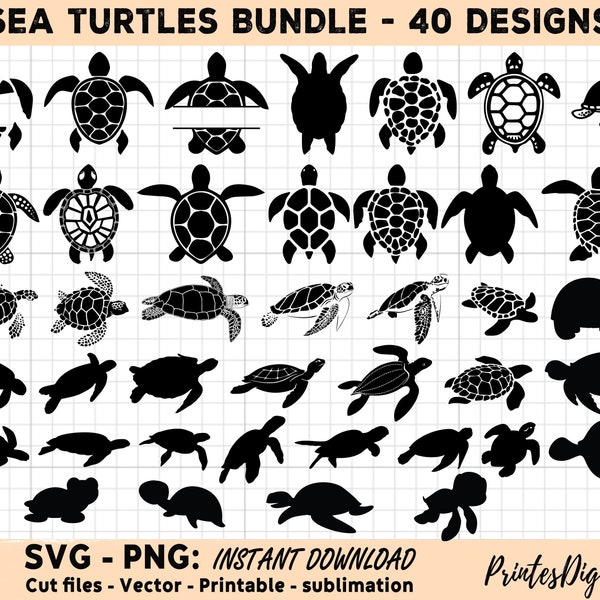 Turtle Svg - Etsy