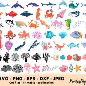 340 Nautical Svg Bundle Png, Nautical Svg Clipart, Anchor Svg, Fish Svg ...