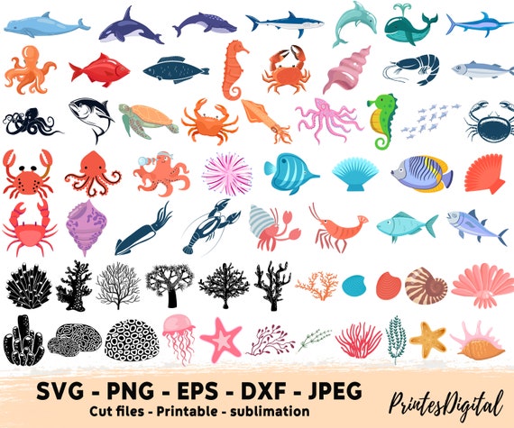 61 Sea Creatures Svg Fish Svgfish Png Seagrass Corals - Etsy