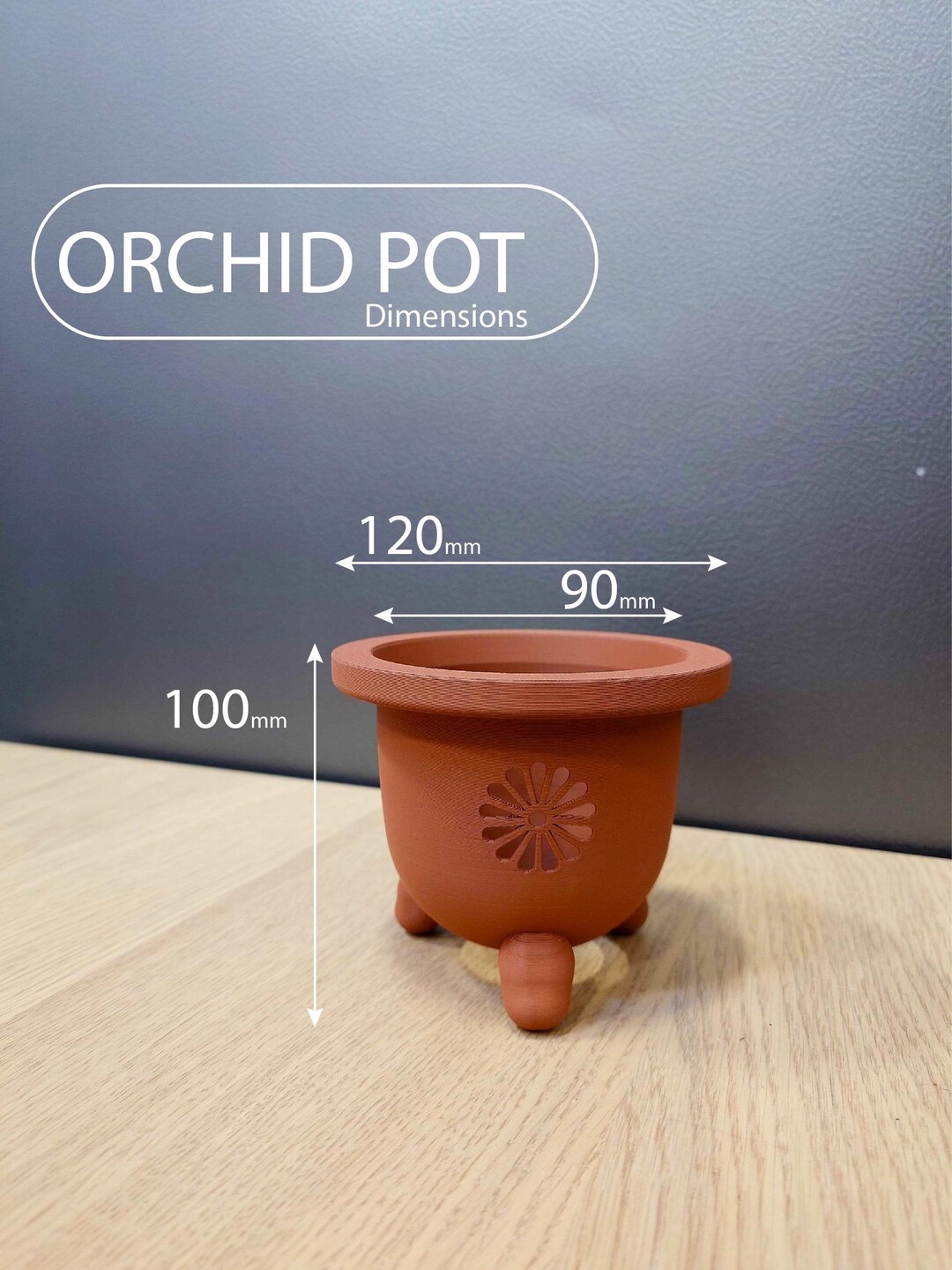 Furan Neofinetia Orchid Pot W/ Drainage Holes | Indoor Planter ...