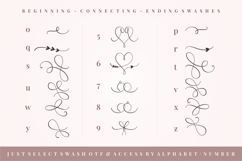 Darrel Allura Font, Canva Font, Wedding Font, Tails Font, Valentine ...