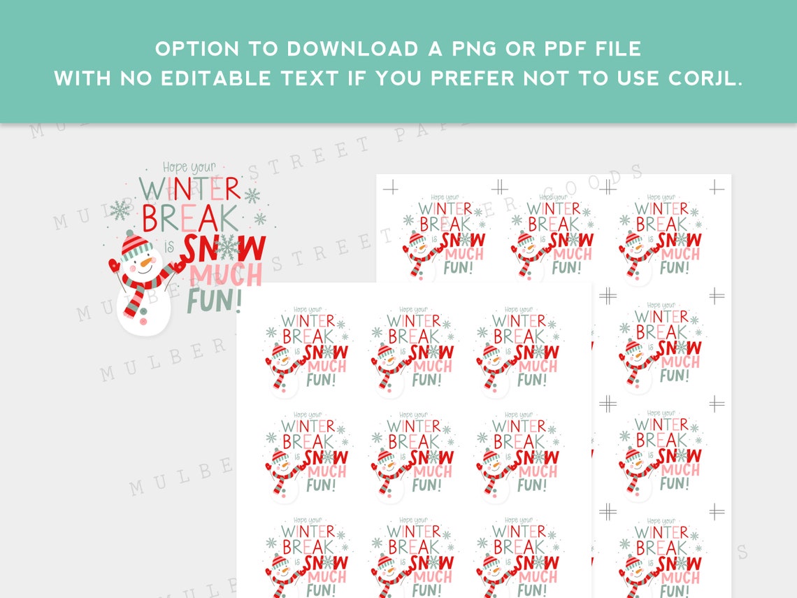 Printable Hope Your Winter Break is Snow Much Fun Gift Tag - Etsy