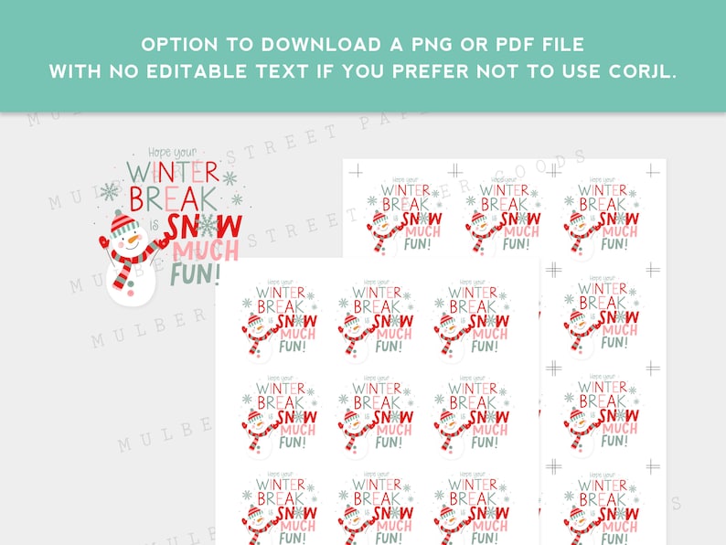 Printable Hope Your Winter Break is Snow Much Fun Gift Tag - Etsy
