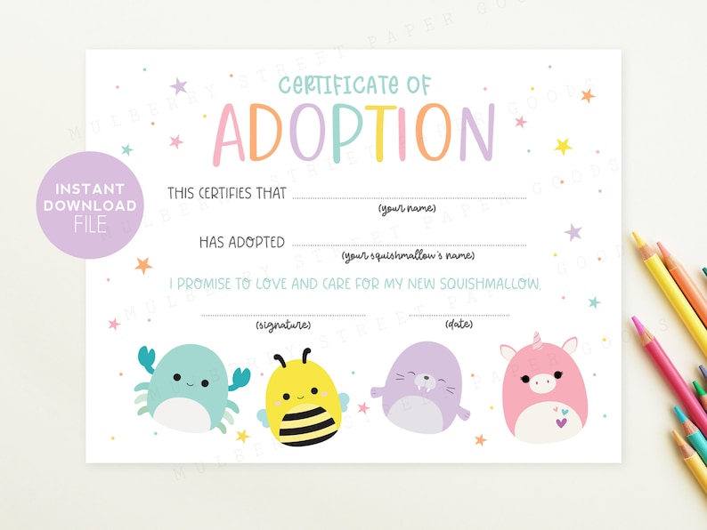 Instant Download Squish Toy Adoption Certificate Printable, Adopt a ...