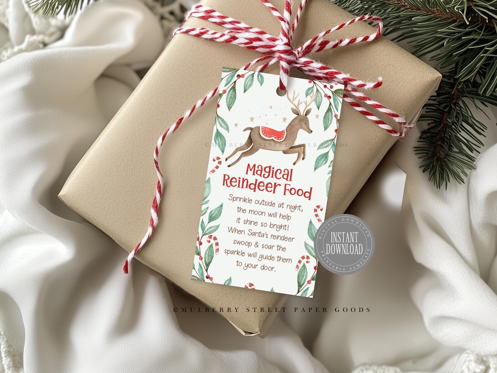 Magical Reindeer Food Gift Tag Printable Digital Download Christmas Eve ...