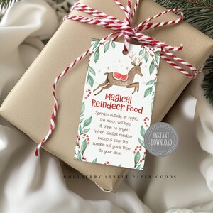 Magical Reindeer Food Gift Tag Printable Digital Download Christmas Eve ...