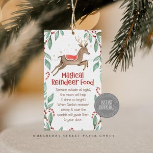 Magical Reindeer Food Gift Tag Printable Digital Download Christmas Eve ...