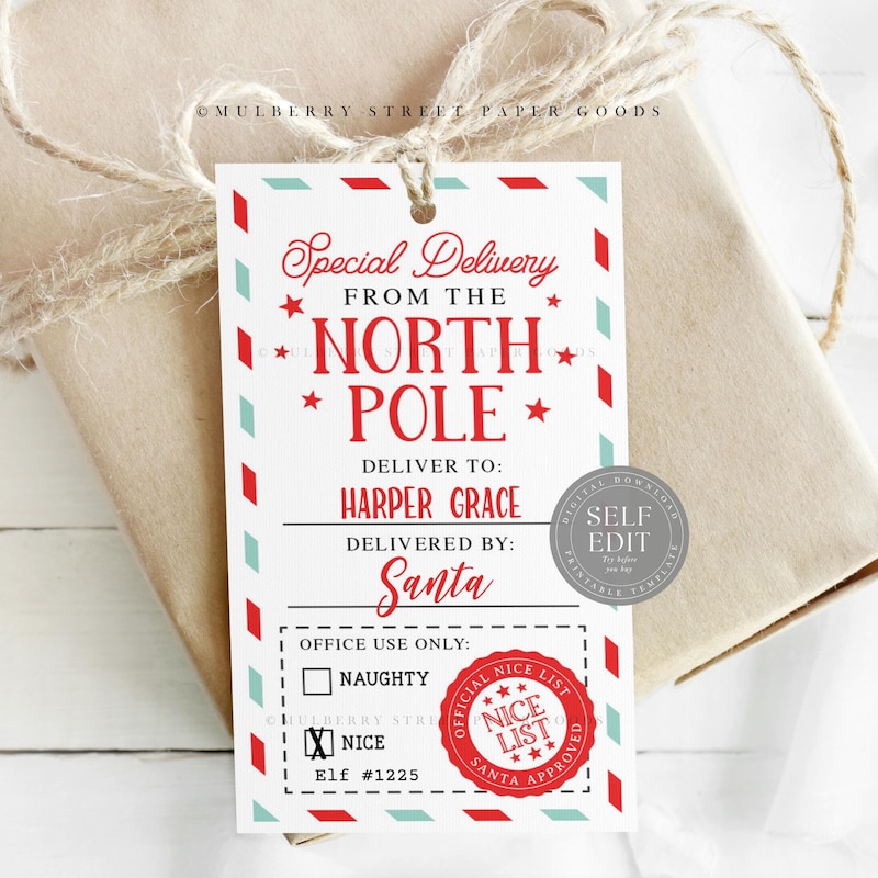 Blue From Santa Gift Tags - 60+ Gift Ideas for 2025