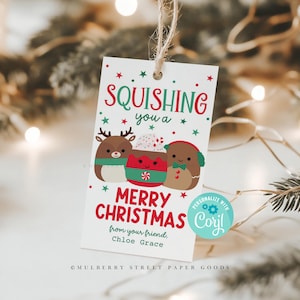 Squish Christmas Gift Tag Digital Download Plush Christmas Gift for ...