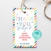 Printable Teacher Appreciation Gift Tag, Instant Download Thank You for ...