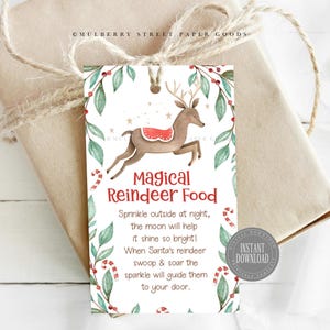 Magical Reindeer Food Gift Tag Printable Digital Download Christmas Eve ...