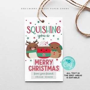 Squish Christmas Gift Tag Digital Download Plush Christmas Gift for ...