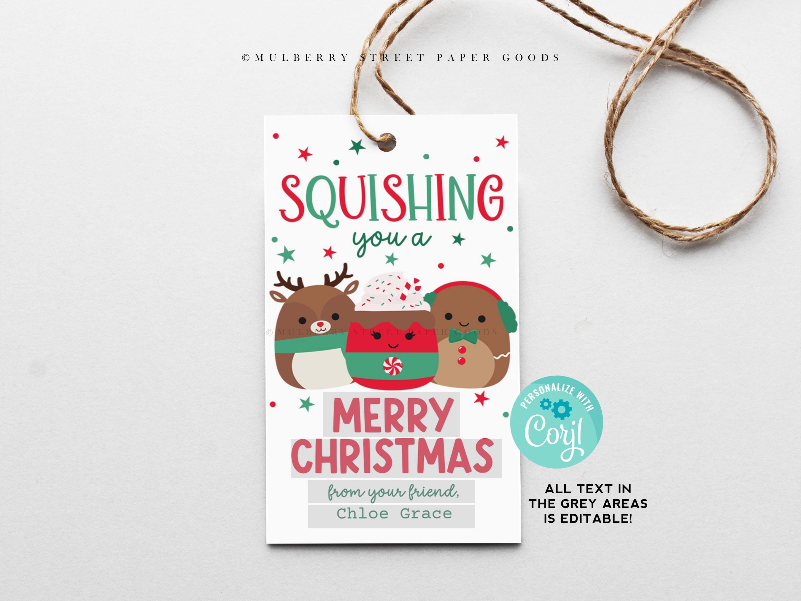 Squish Christmas Gift Tag Digital Download Plush Christmas Gift for ...