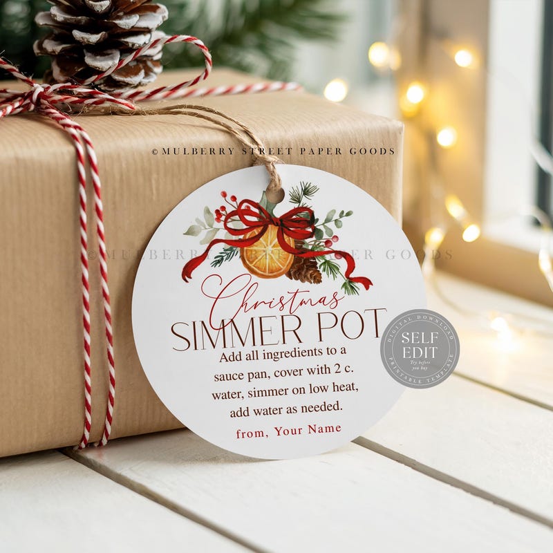 Simmer Pot Kit Winter Green - Etsy