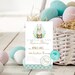 Printable Easter Bunny Express Delivery Gift Tag, Easter Bunny ...