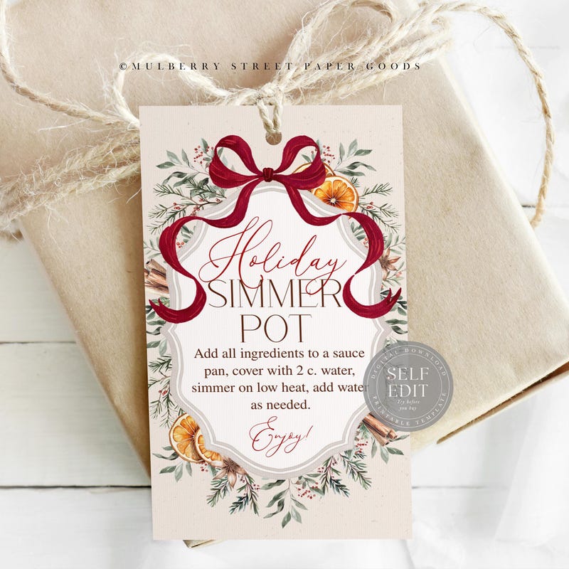 Simmer Pot Gift Tags Edit - 60+ Gift Ideas for 2025