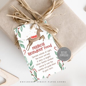 Magical Reindeer Food Gift Tag Printable Digital Download Christmas Eve ...