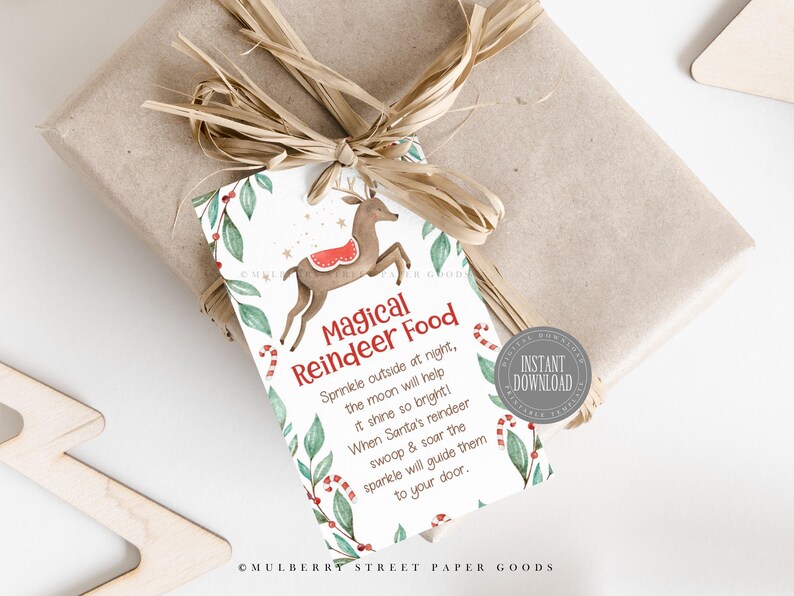 Magical Reindeer Food Gift Tag Printable Digital Download Christmas Eve ...